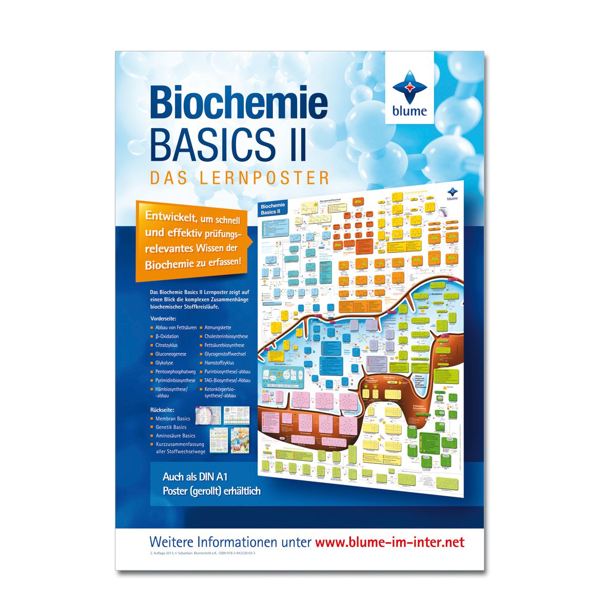 Biochemie Lernposter - komplexe Zusammenhänge ideal zusammengefasst
