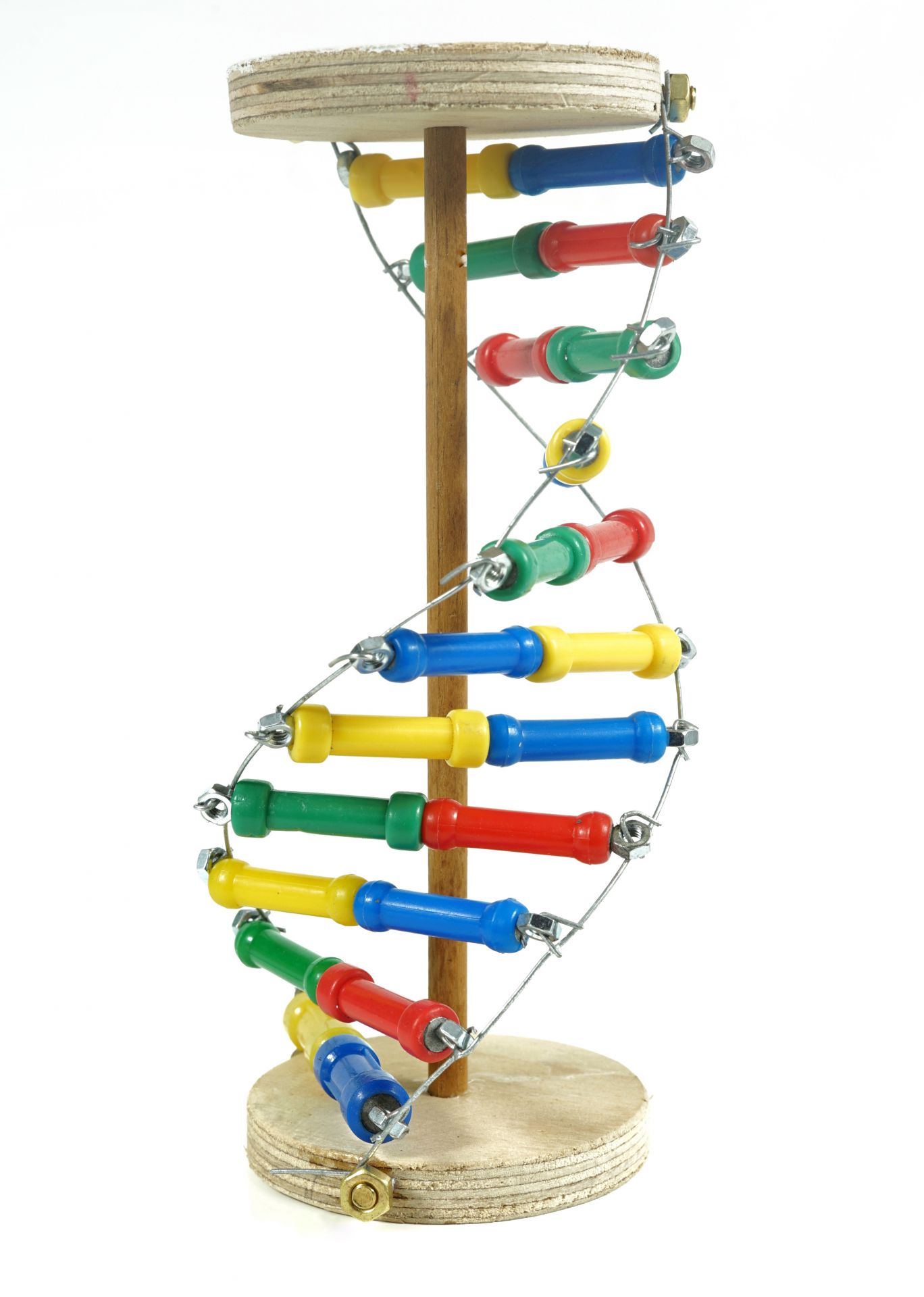 DNA Bastelset zur Anschauung der Dopelhelix