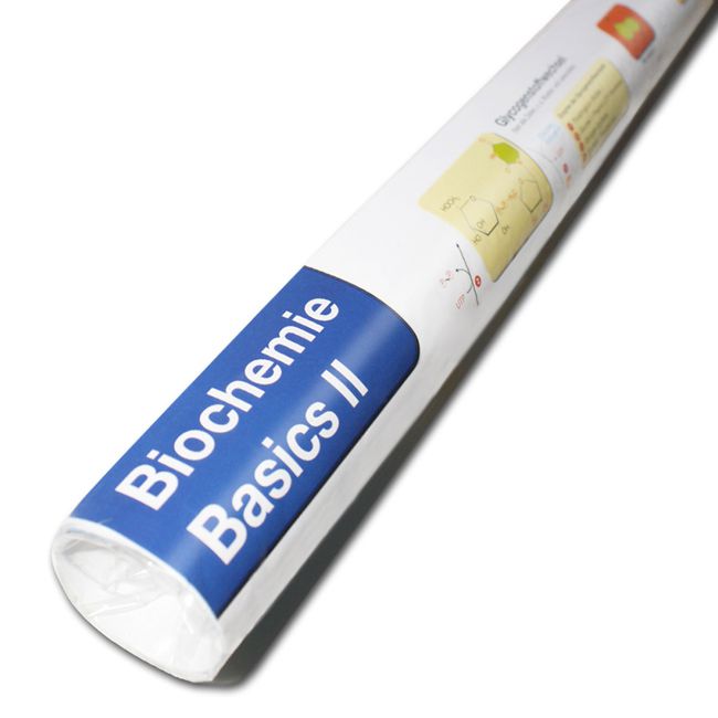 Biochemie Poster - Stoffkreisläufe anschaulich dargestellt