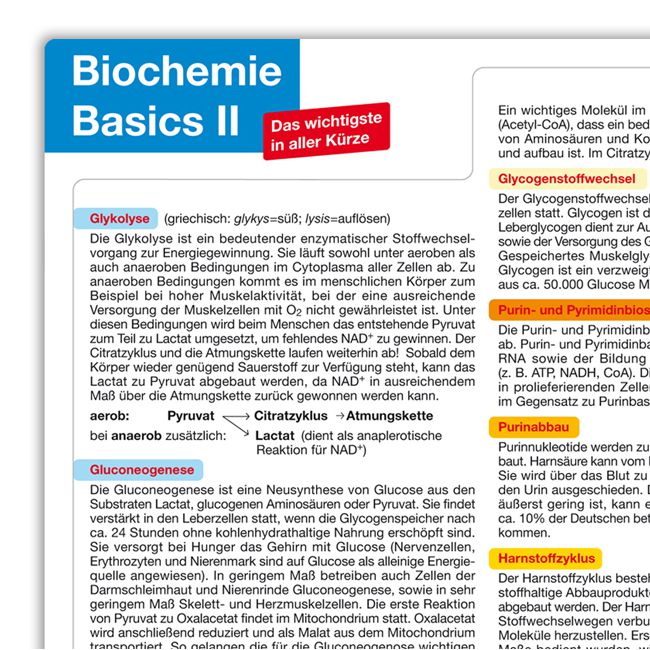Biochemie Lernposter - komplexe Zusammenhänge ideal zusammengefasst